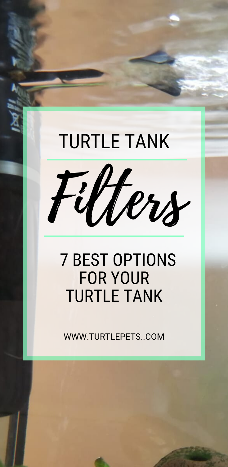 Turtle Tank Filters - 7 Best Options For Your Turtle Tank | TurtlePets